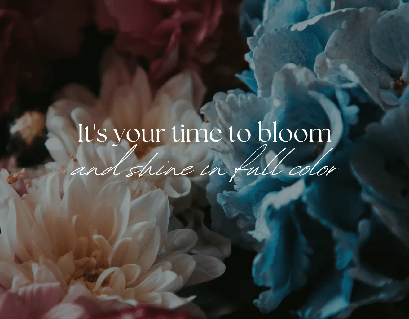 About Us | Shadow Flowers